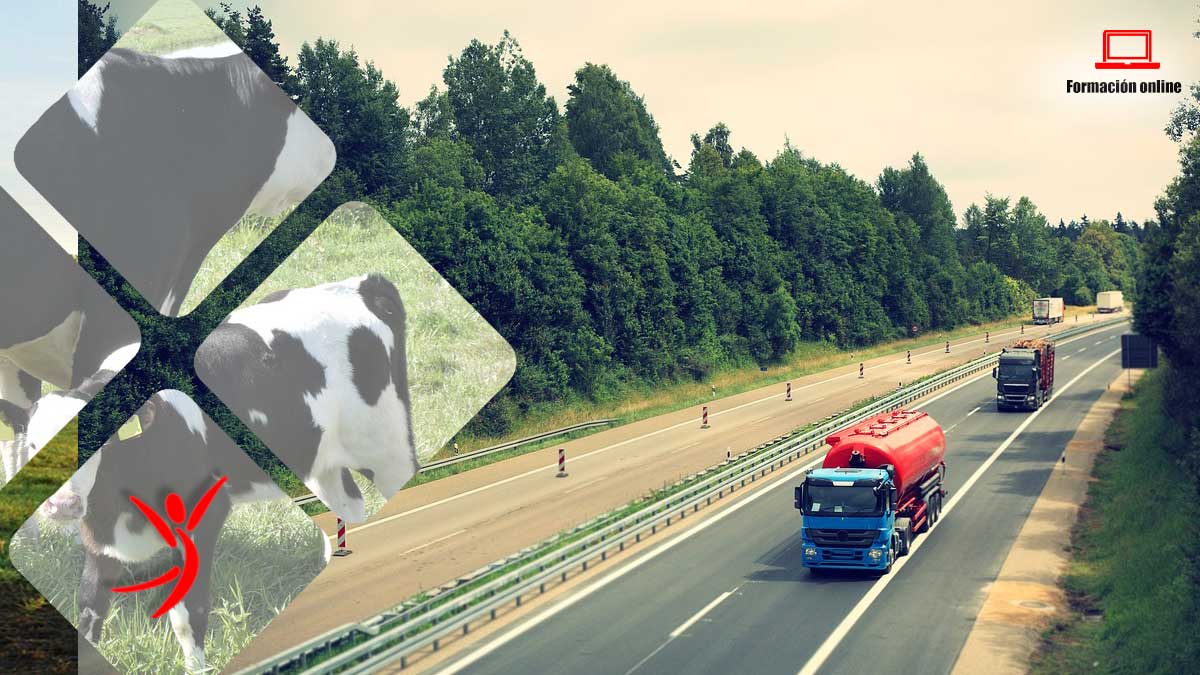 Curso Bienestar Animal en el Transporte – INALOCAL Curso Bienestar Animal en el Transporte – INALOCAL